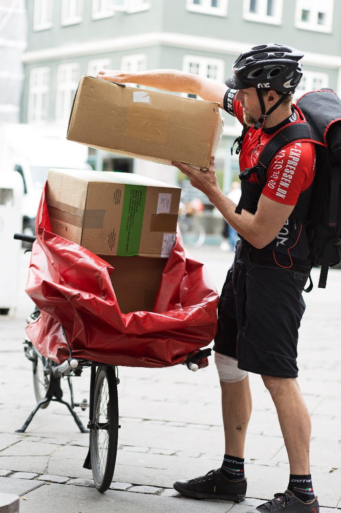 Omnium Mini-Max V3 Custom Modell - Velociped